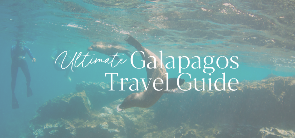 The Ultimate Galapagos Islands Travel Guide